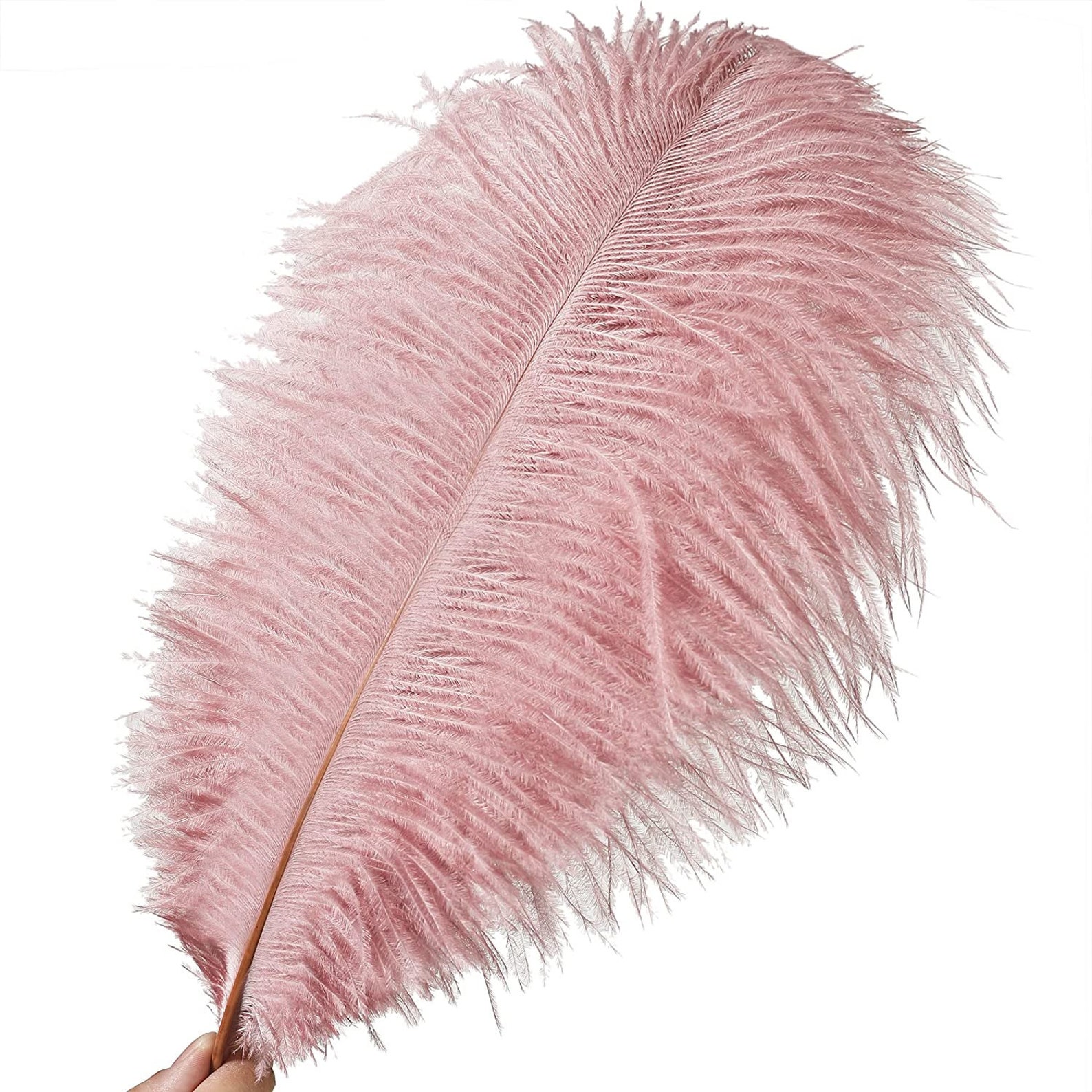 AAA+ 100pcs High Quality 20-22 Inches Bean Paste Ostrich Feather ...