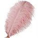 AAA+ 100pcs High Quality 20-22 Inches Bean Paste Ostrich Feather ...