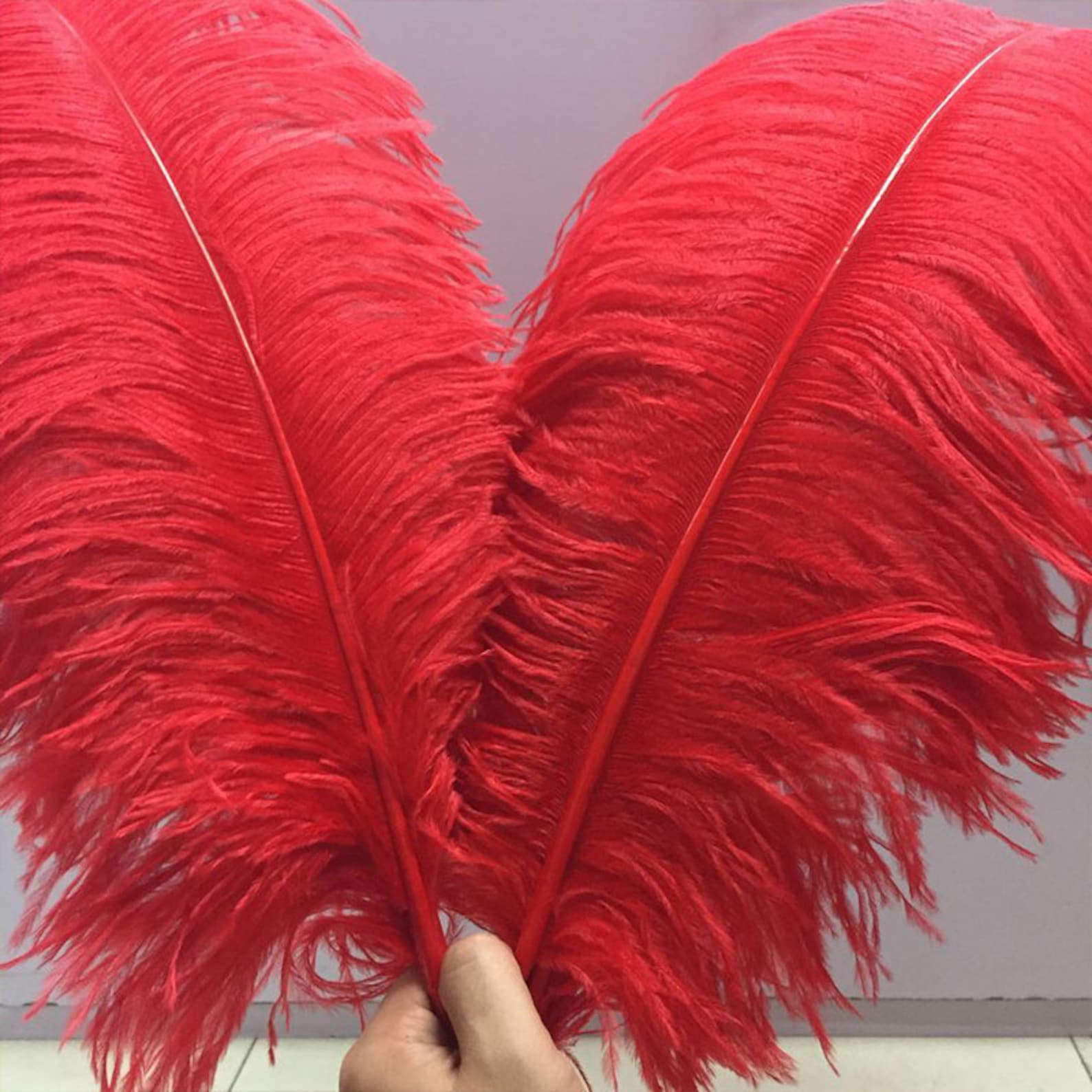 AAA 100pcs High Quality 20-22 Inches Red Ostrich Feather - Etsy