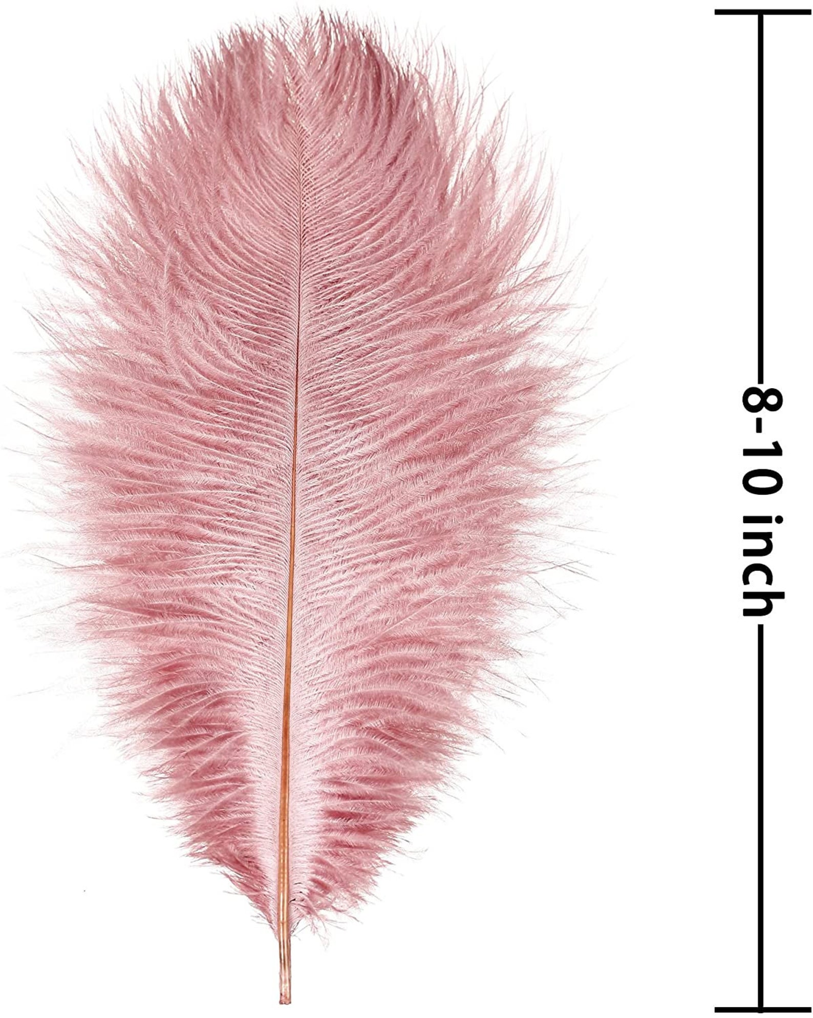 AAA+ 100pcs High Quality 20-22 Inches Bean Paste Ostrich Feather ...