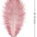 AAA+ 100pcs High Quality 20-22 Inches Bean Paste Ostrich Feather ...