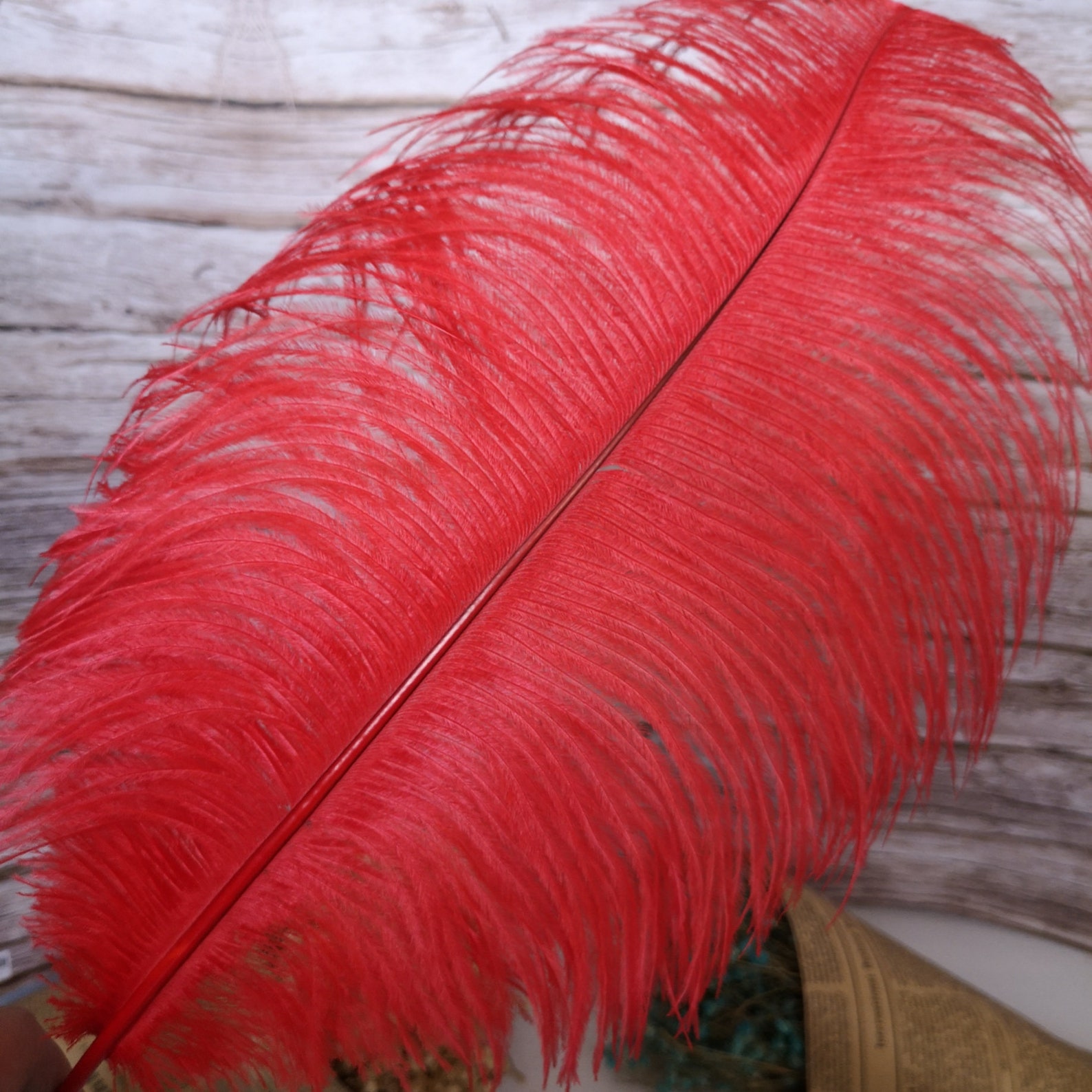 Red Ostrich Feather 100pcs 6-30inch/15-75cm Home Decor Wedding - Etsy