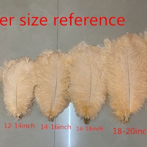 AAA+ 100pcs High Quality 20-22 Inches Bean Paste Ostrich Feather ...