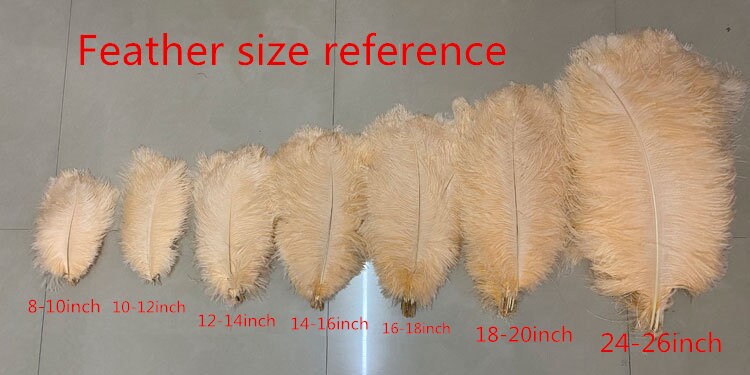 AAA+ 100pcs High Quality 20-22 Inches Bean Paste Ostrich Feather ...