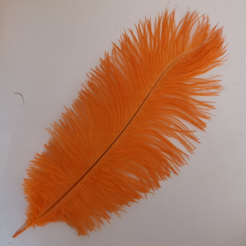 Orange Ostrich Feather 100pcs 6-30inch/15-75cm Home Decor Wedding ...