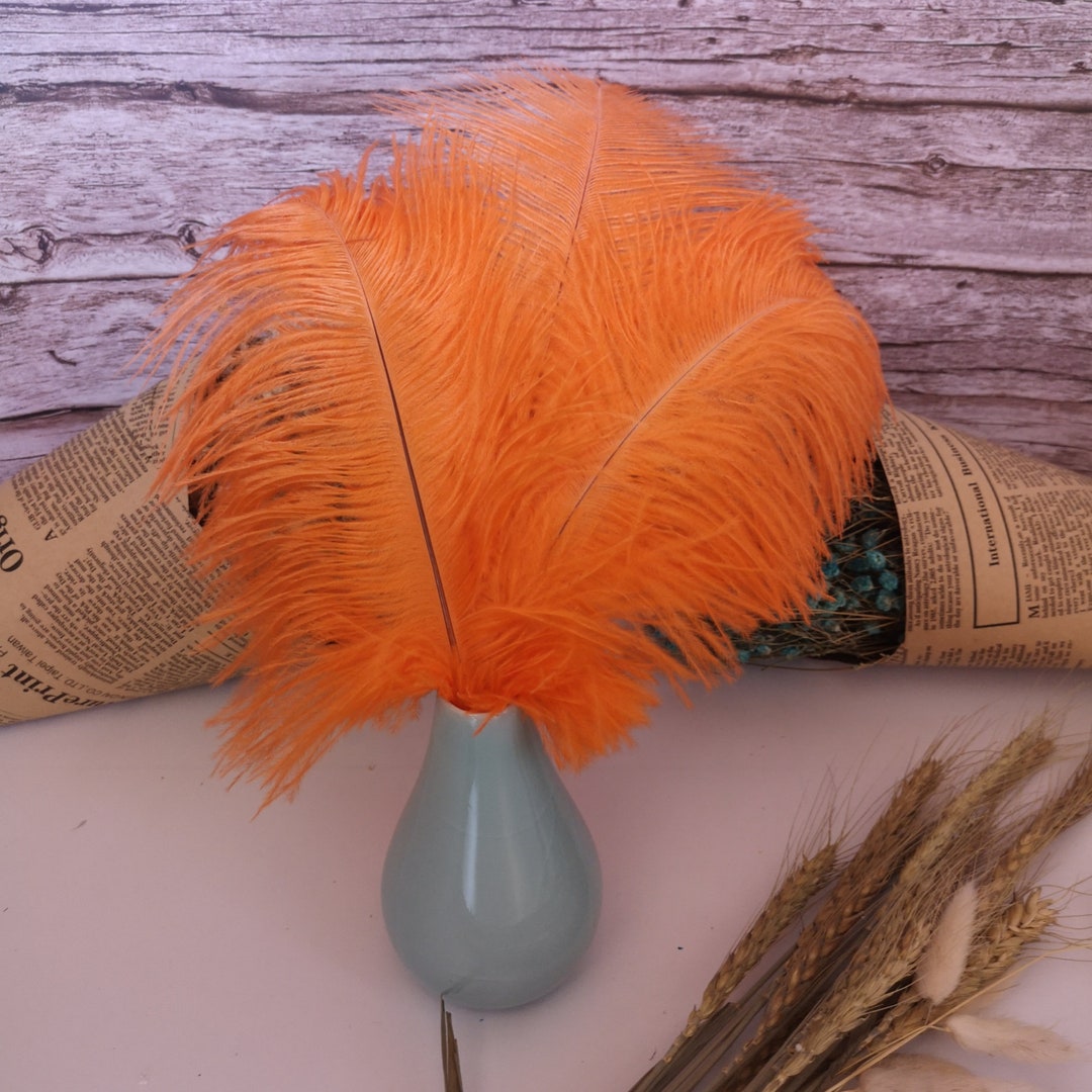 Orange Ostrich Feather 100pcs 6-30inch/15-75cm Home Decor Wedding ...