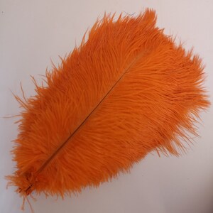 Orange Ostrich Feather 100pcs 6-30inch/15-75cm Home Decor Wedding ...