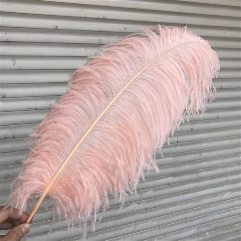 Retro Light Pink Ostrich Feather 24-26 Inch/5-100pcs Home | Etsy