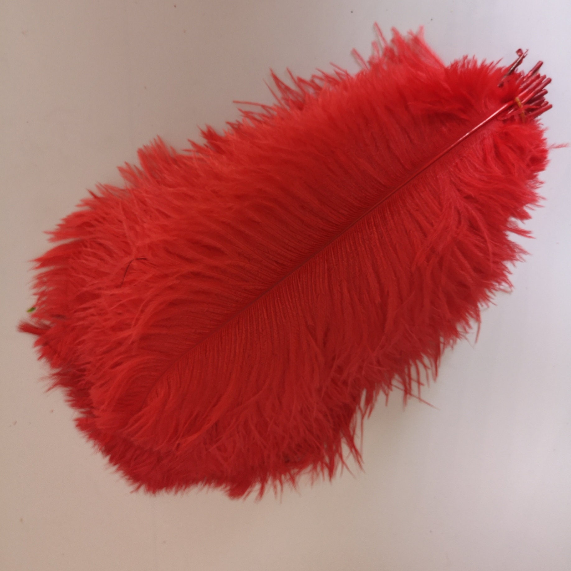 Red Ostrich Feather 100pcs 6-30Inch/15-75CM Home Decor Wedding | Etsy