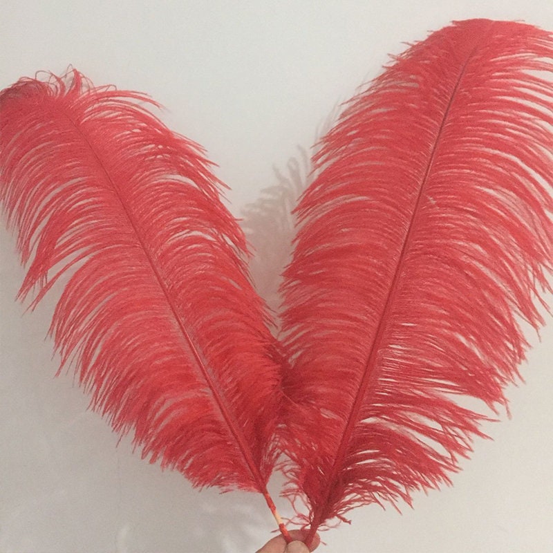 AAA 100pcs High Quality 20-22 Inches Red Ostrich Feather - Etsy