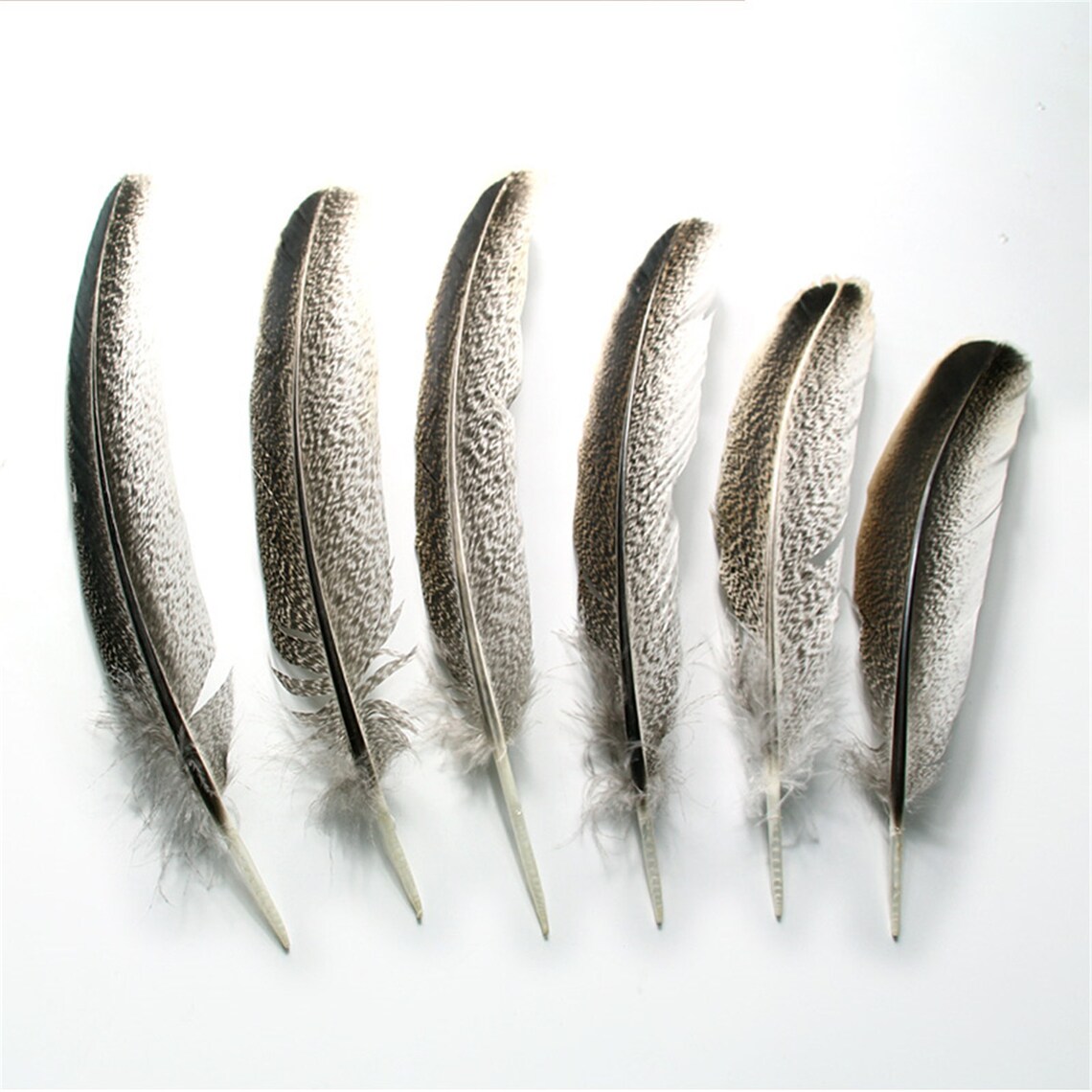 High Quality 10-1000pcs/lot Natural Diy Decoration Feather | Etsy