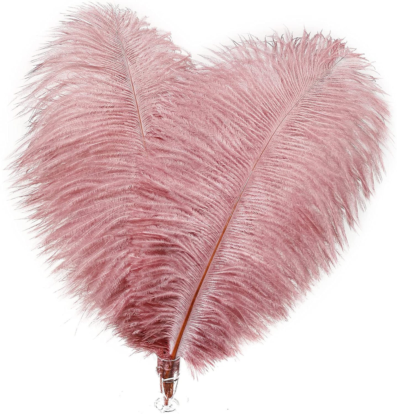 AAA+ 100pcs High Quality 20-22 Inches Bean Paste Ostrich Feather ...