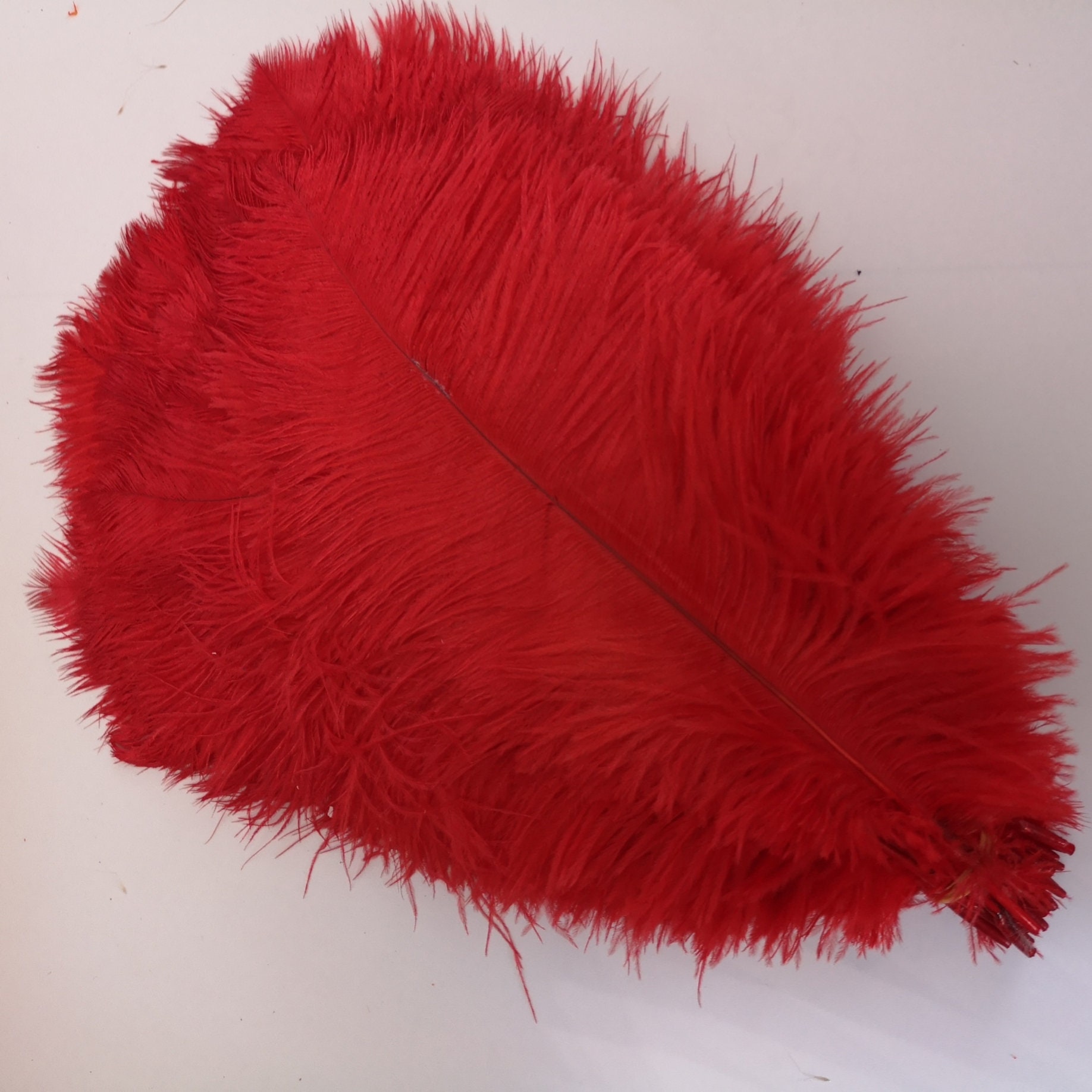 Red Ostrich Feather 100pcs 6-30Inch/15-75CM Home Decor Wedding | Etsy