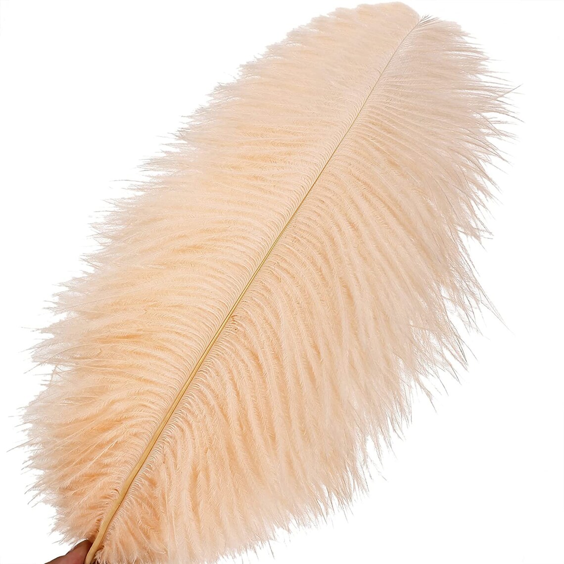 AAA+ 100pcs High Quality 20-22 Inches Champagne Ostrich Feather Wedding ...