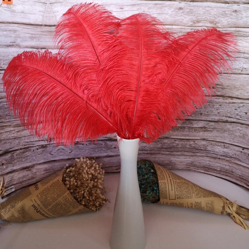 Red Ostrich Feather 100pcs 6-30inch/15-75cm Home Decor Wedding ...