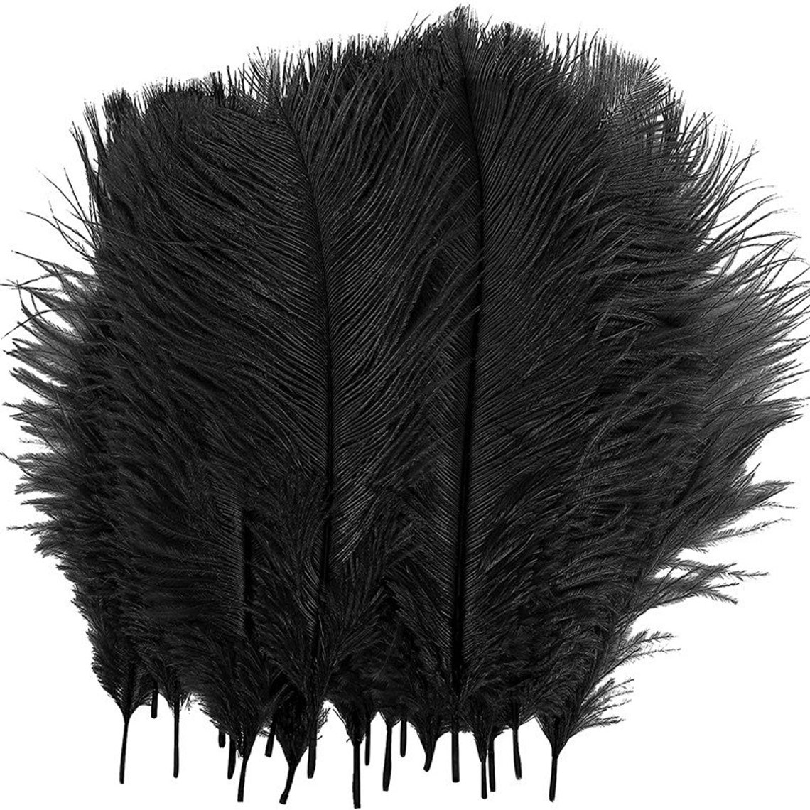 AAA 100pcs High Quality 20-22 Inches Black Ostrich Feather - Etsy