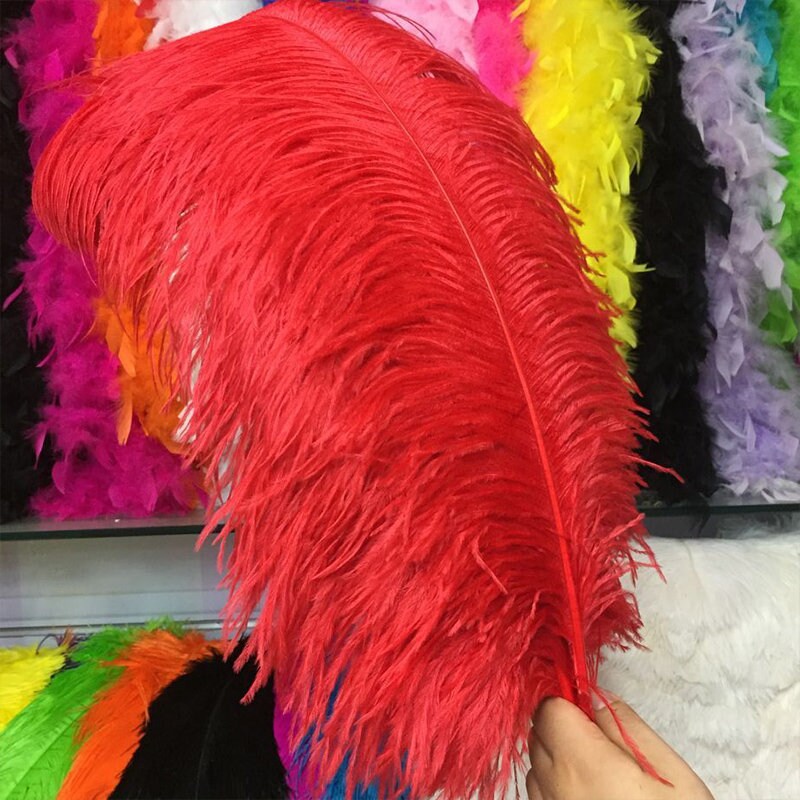 AAA 100pcs High Quality 20-22 Inches Red Ostrich Feather - Etsy