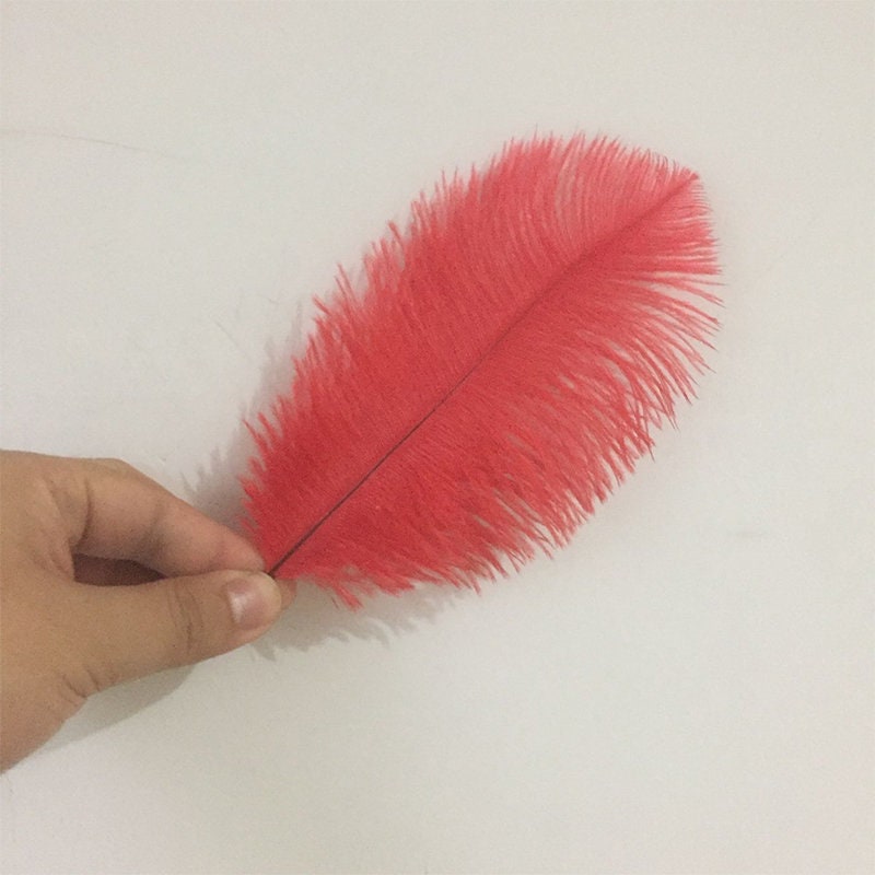 AAA 100pcs High Quality 20-22 Inches Red Ostrich Feather - Etsy