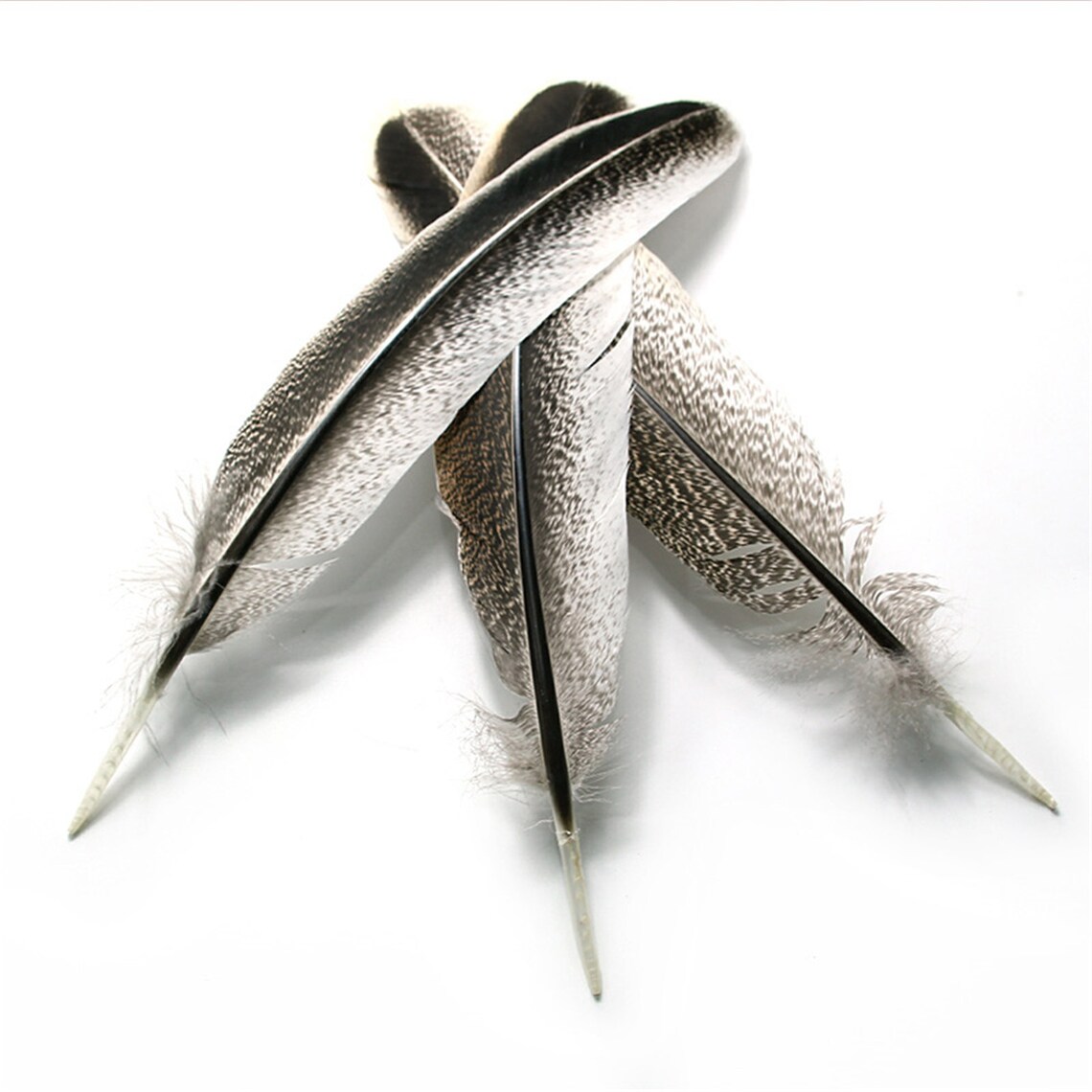 High Quality 10-1000pcs/lot Natural Diy Decoration Feather | Etsy