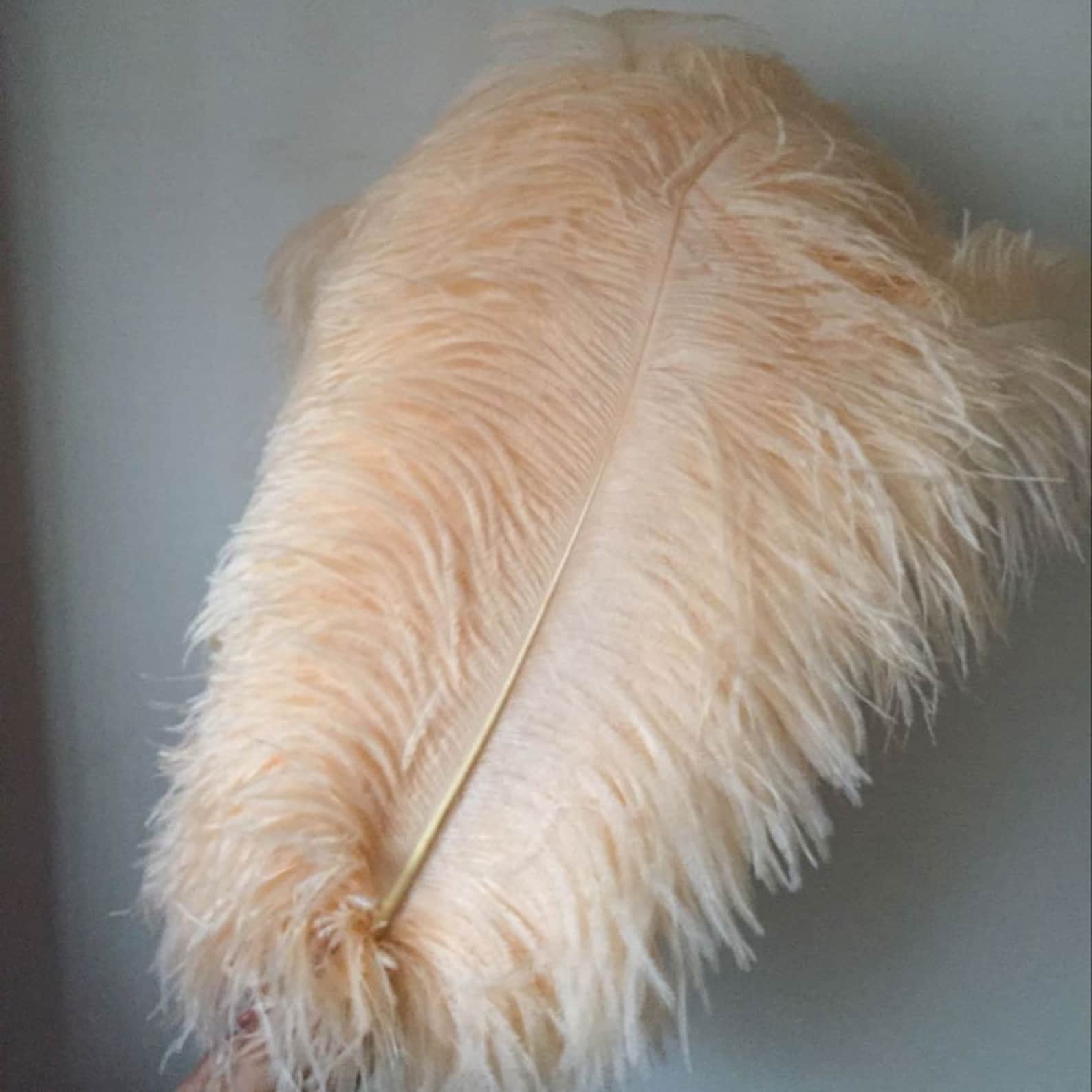 Vintage Champagne Ostrich Feather 24-26 Inch/5-100pcs Home Decor ...