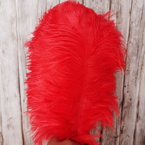 Red Ostrich Feather 100pcs 6-30inch/15-75cm Home Decor Wedding ...