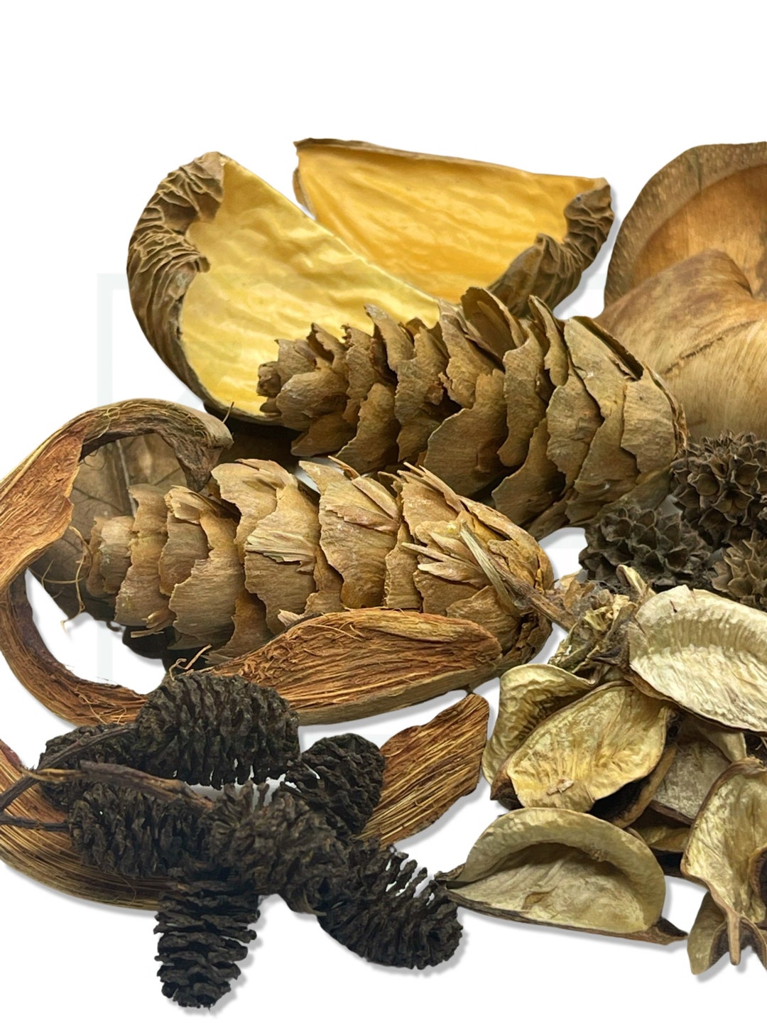 40 Pc Botanical Pack! - Etsy