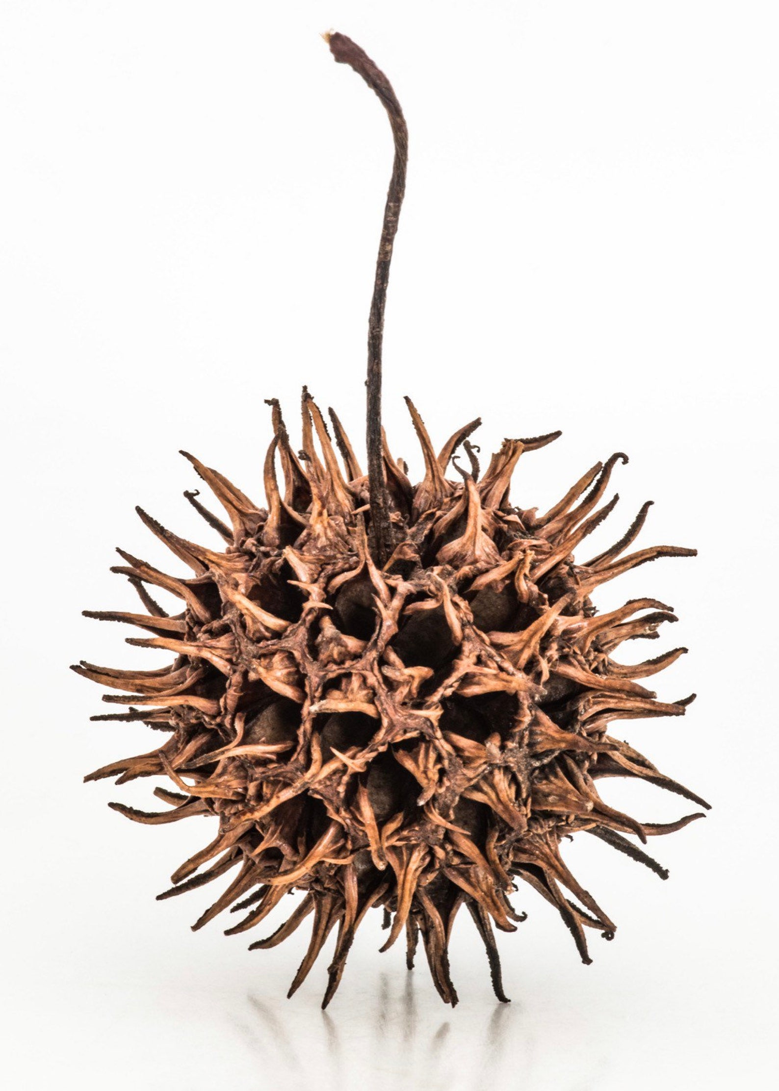 African tribal Gela mask[1000x1000]. : r/ArtefactPorn