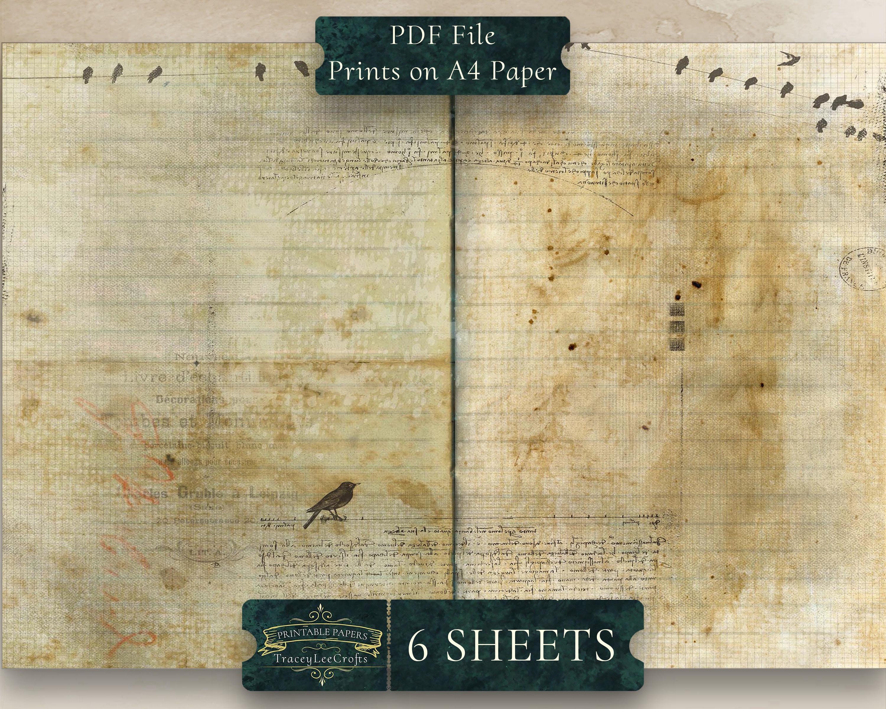Printable Digital Vintage Lined Paper Kit Set Horizontal Landscape ...
