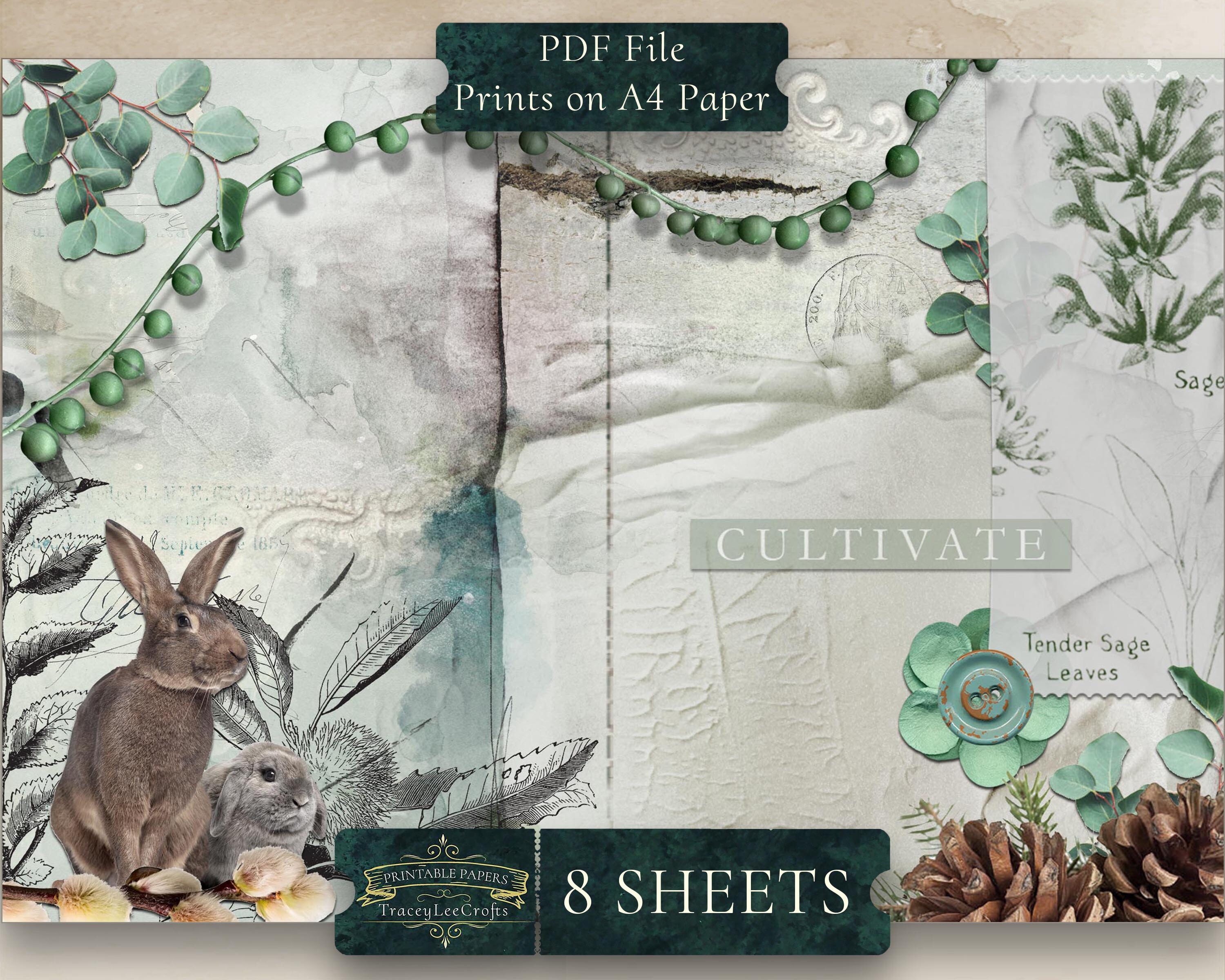 Woodland Journal Kit Printable Forest Animals Diary Pages - Etsy