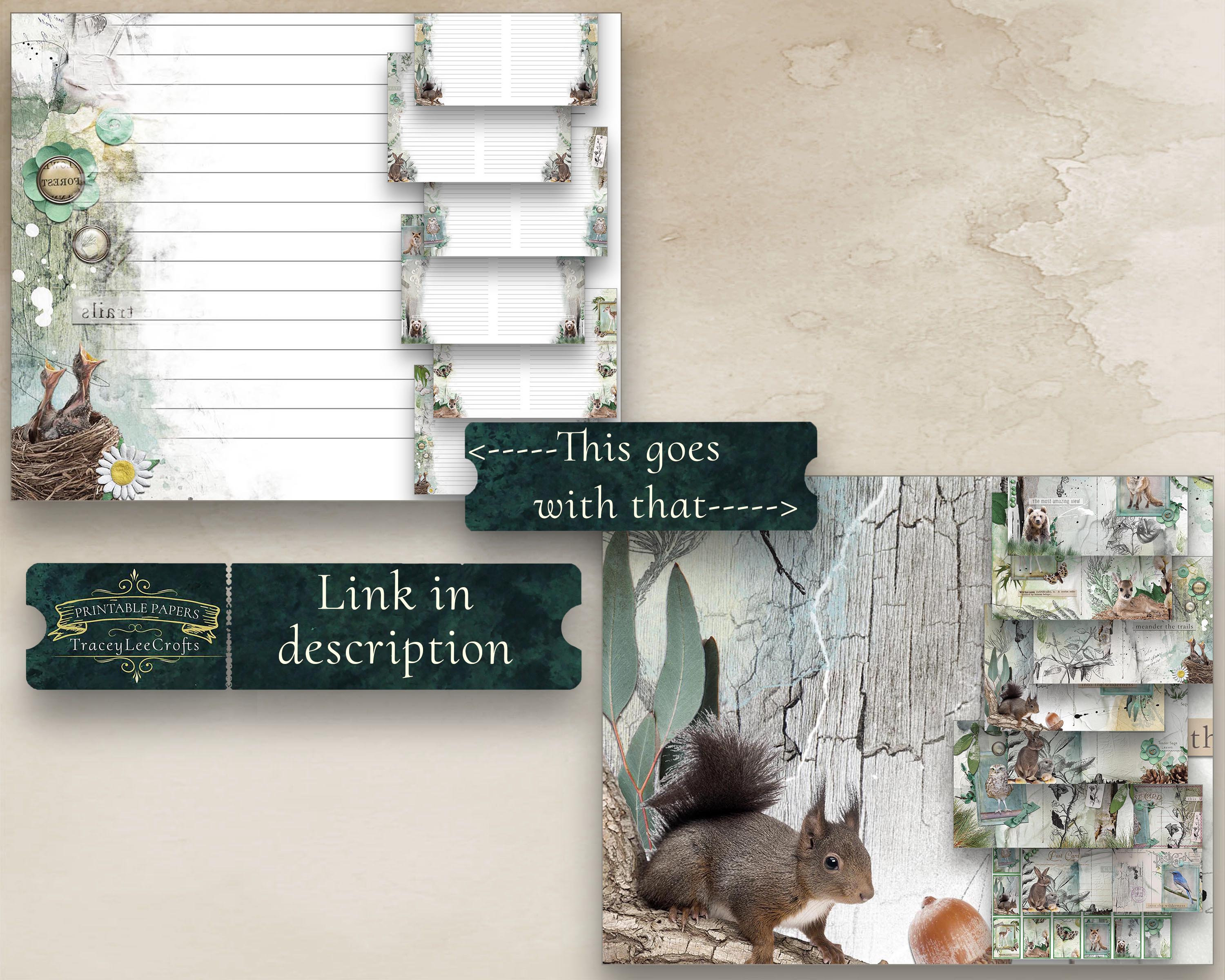 Woodland Forest Animals Lined Writing Paper Set Printable - Etsy