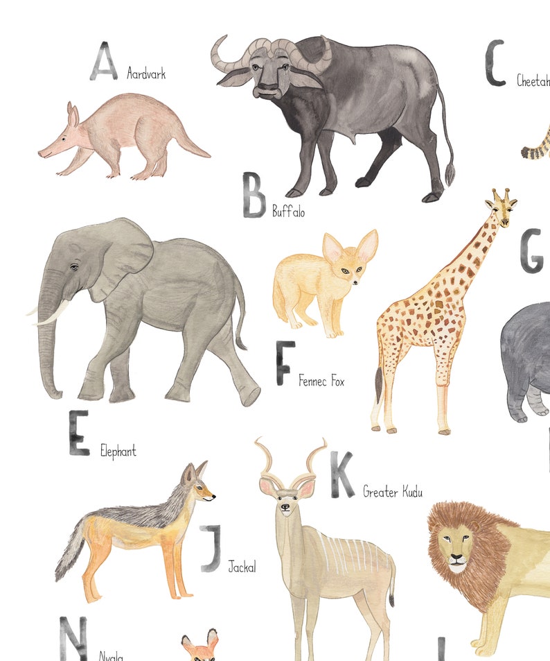Safari Nursery Decor Safari Alphabet Animal Alphabet Poster | Etsy