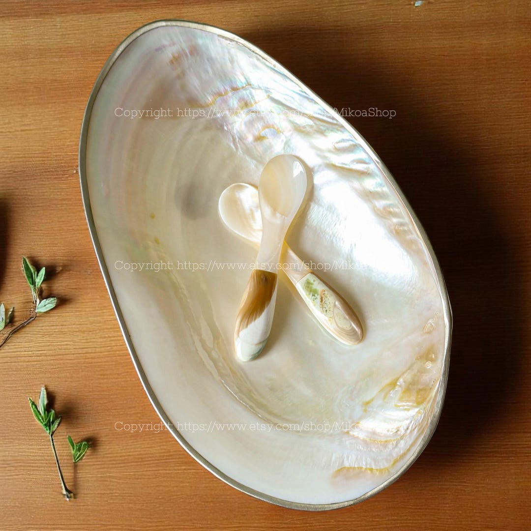 Mother-of-pearl Seashell Dish With Silver Trim, Decorative Giant Shell ...