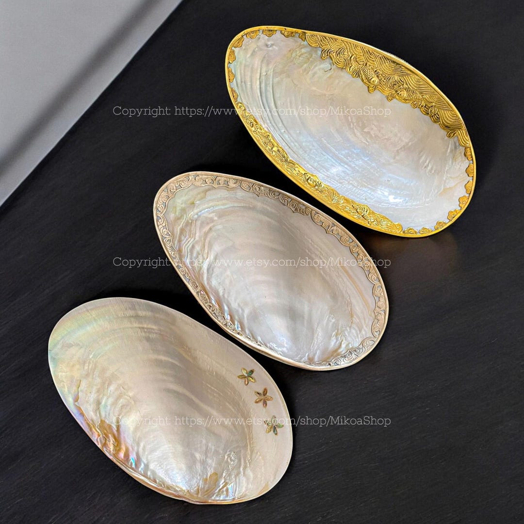 Mother-of-pearl Seashell Dish, Decorative Giant Shell Dish With Silver ...