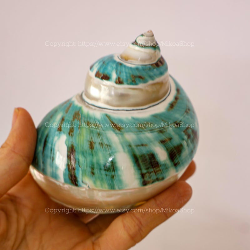 MikoaShop - Etsy