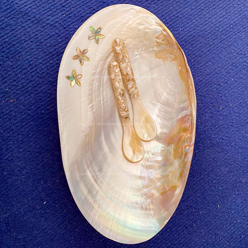 Mother-of-pearl Seashell Dish, Decorative Giant Shell Dish With Flower ...
