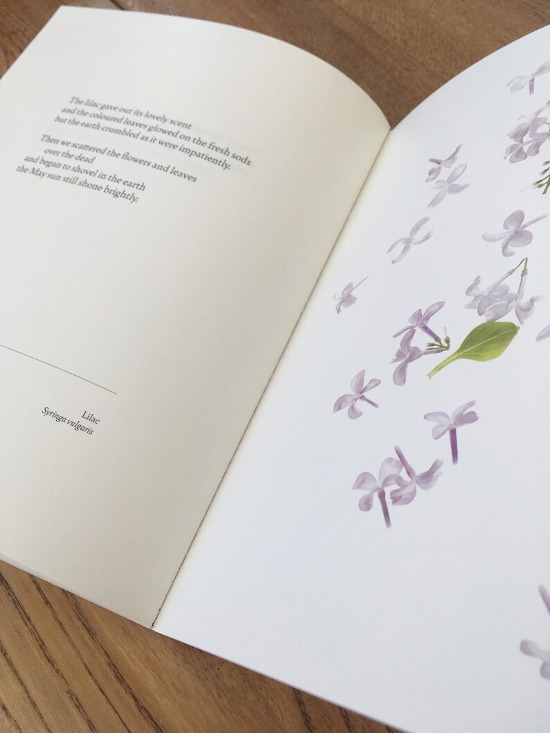 Limited Edition Artist's Book Featuring WW1 Letters and Stunning ...