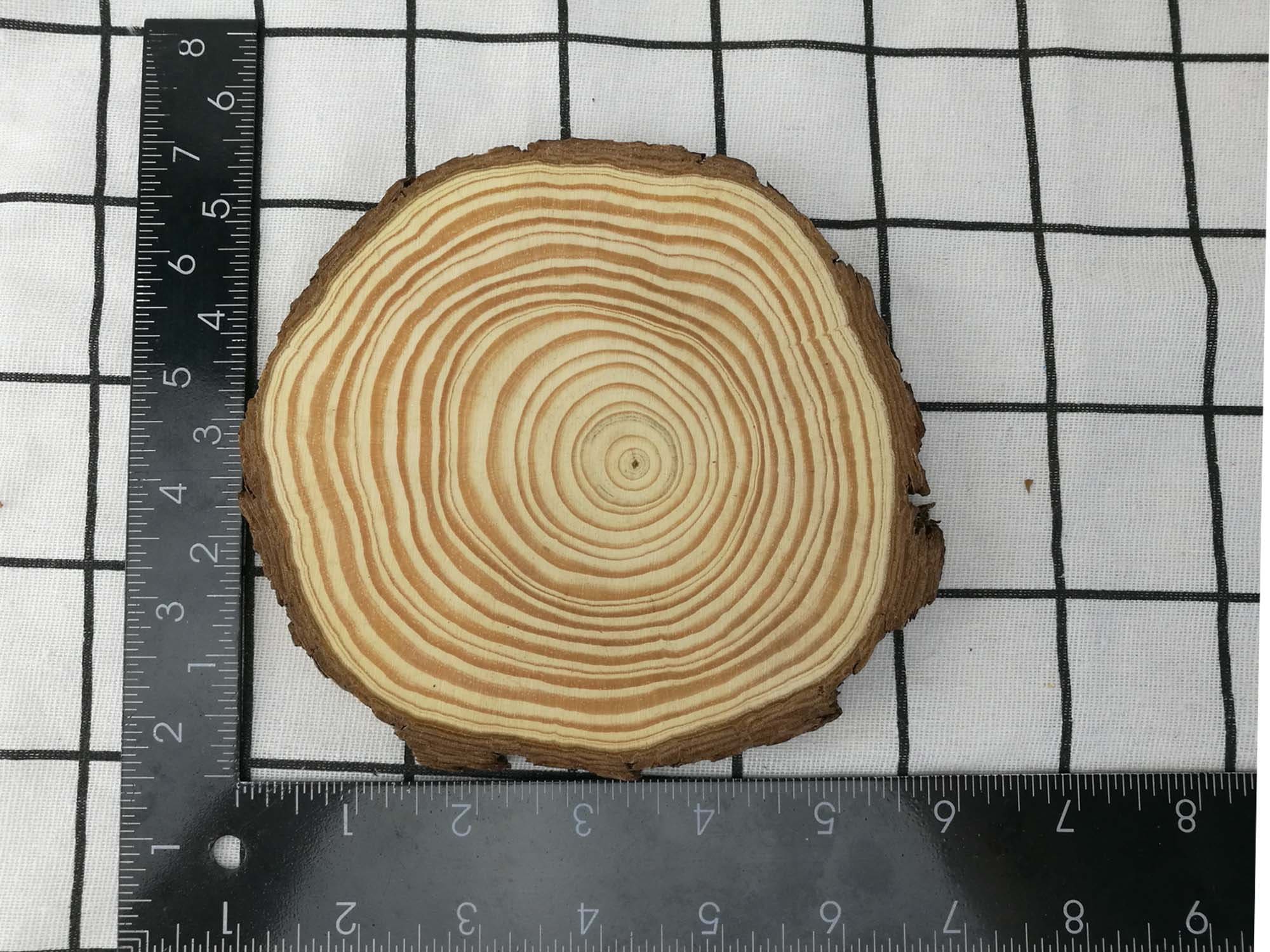 With bark 2.65.2 Natural Wood Rounds Wood Slice | Etsy