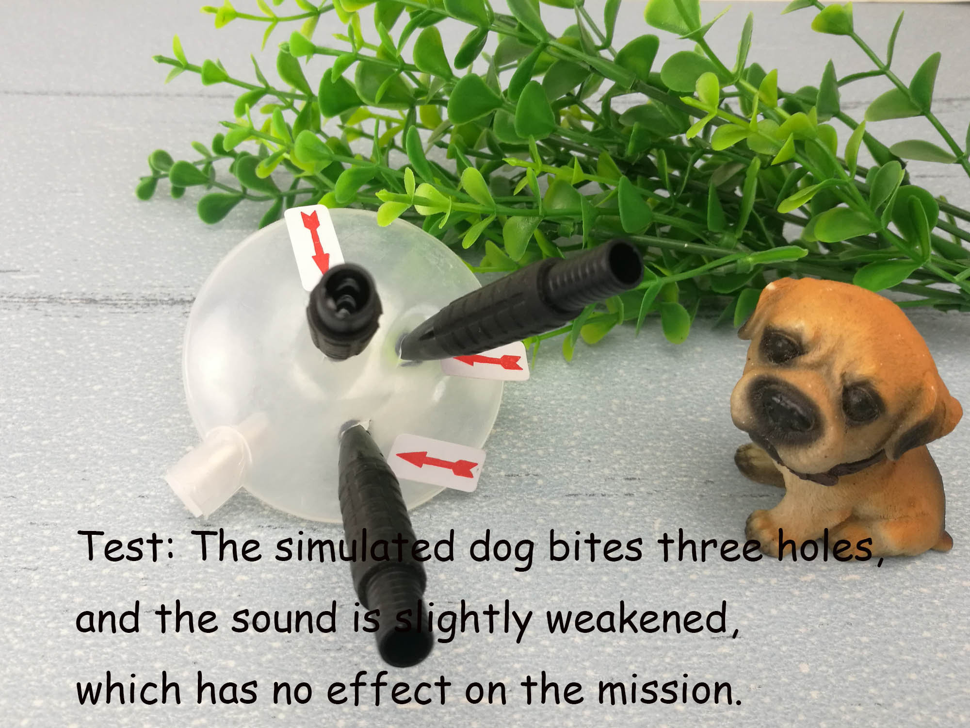 10 Large Squeakers Flat Squeaker-2.3 Inch Squeakers dog | Etsy UK