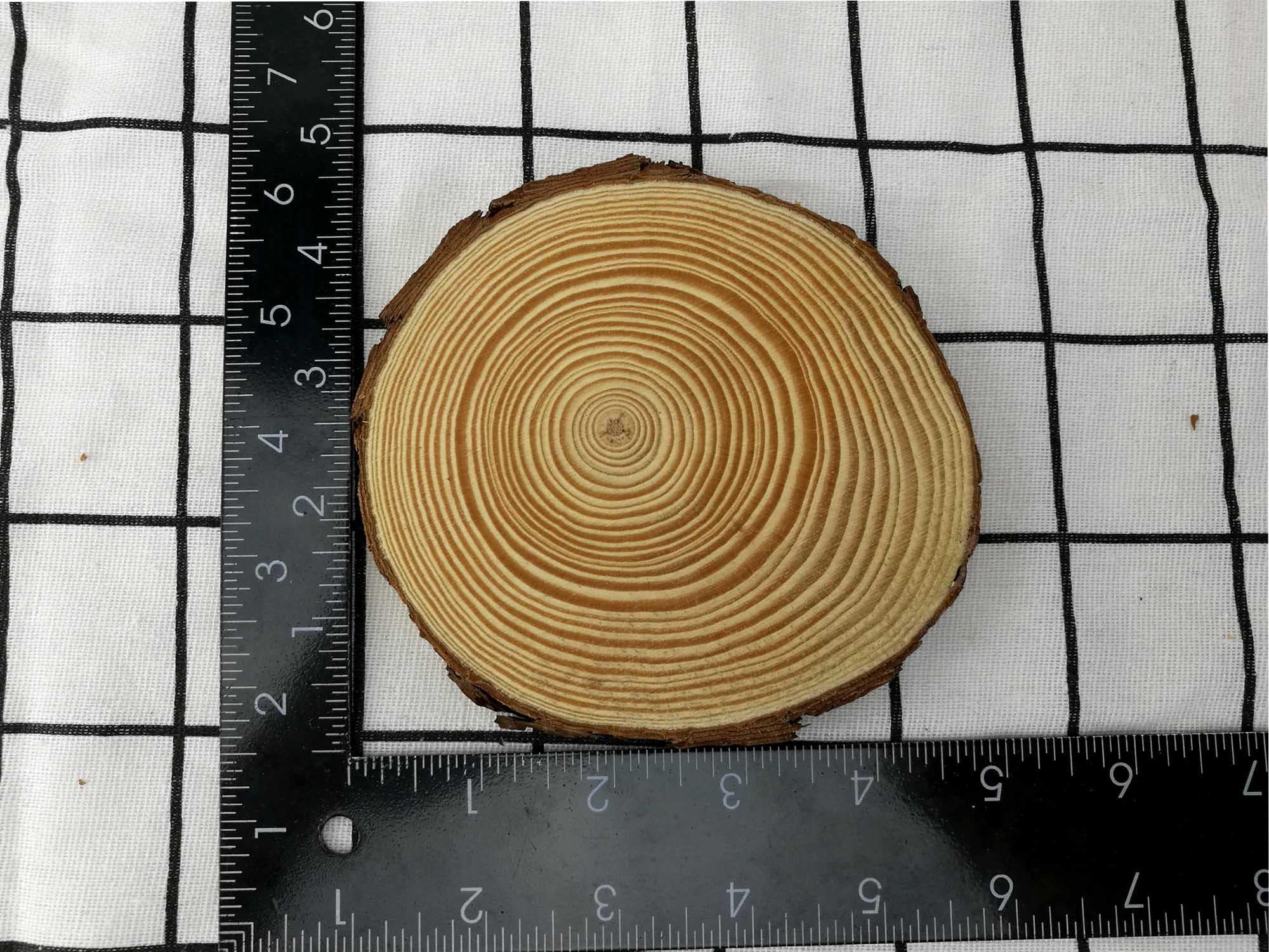 With bark 2.65.2 Natural Wood Rounds Wood Slice | Etsy