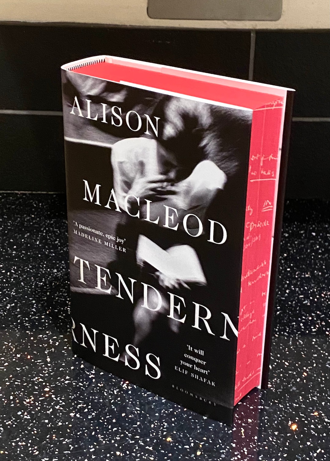 Tenderness by Alison Macleod Signed Numbered Hardback Book From a ...
