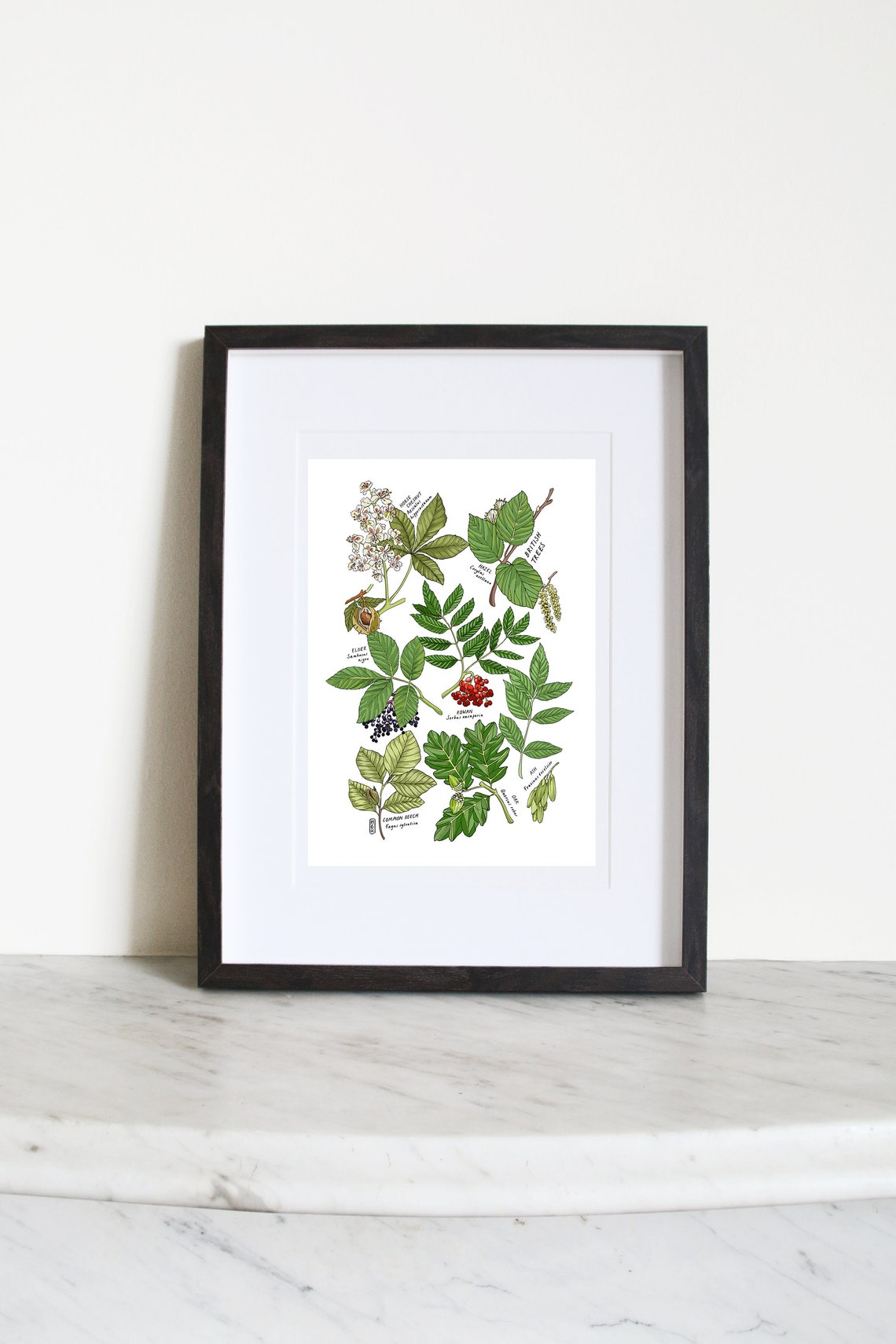 British Trees Art Print. Bristol. Oak . Elder. Ash. Botanical - Etsy