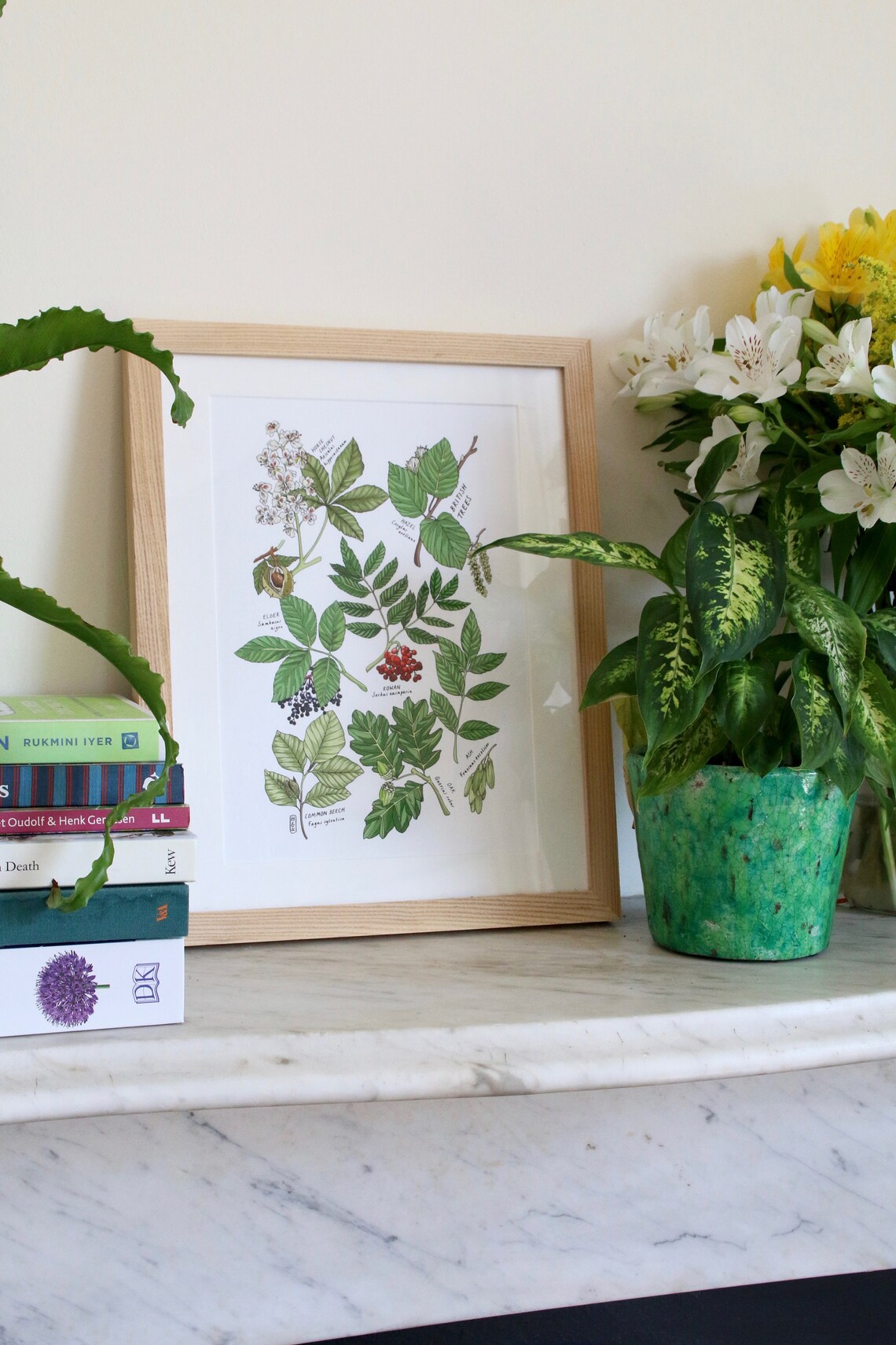 British Trees Art Print. Bristol. Oak . Elder. Ash. Botanical - Etsy