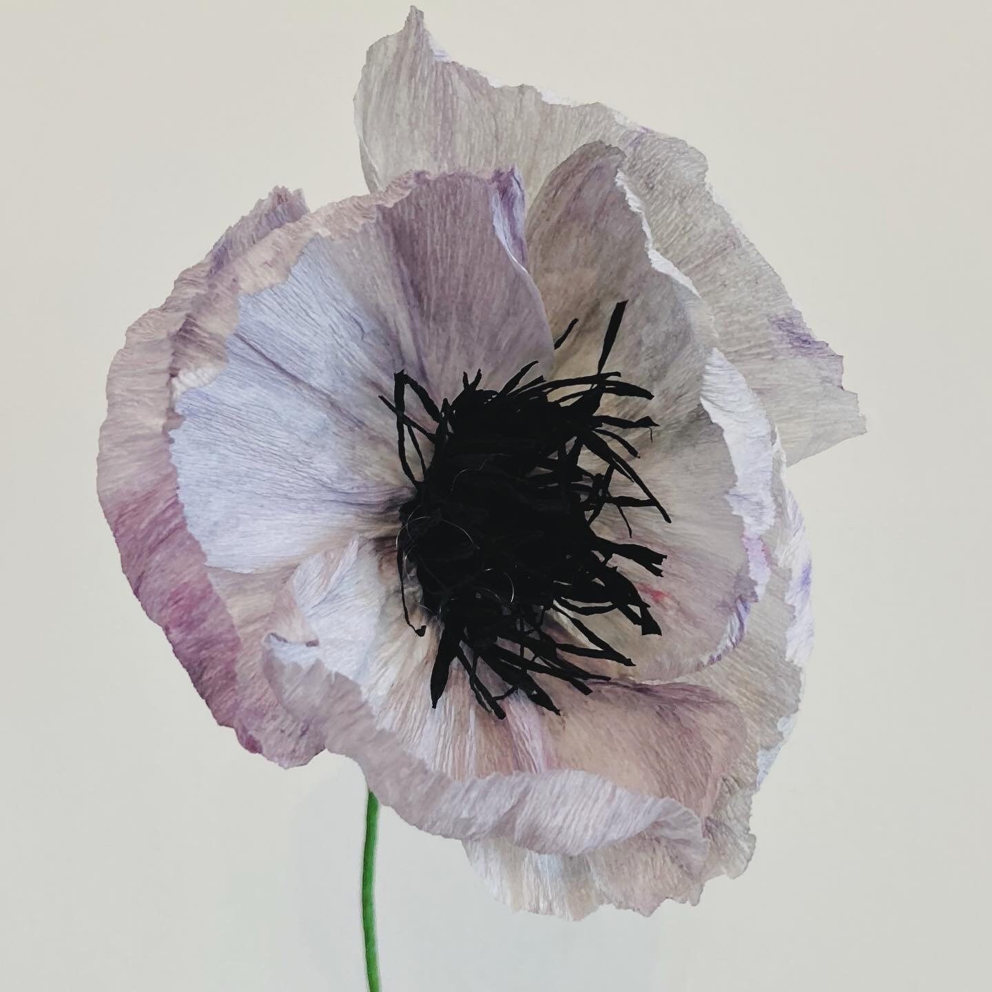 Crepe Paper Poppy Artificial Poppy Flower Fake Grey Poppies - Etsy
