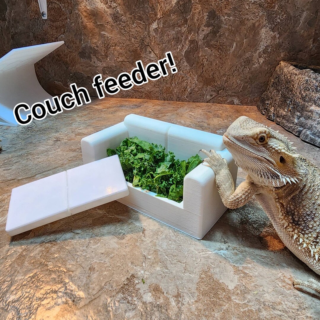 Bearded Dragon Couch and Feeder Dish Furniture and Accessory - Etsy