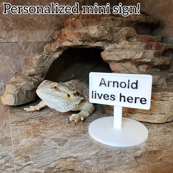 Reptile Decor - Etsy