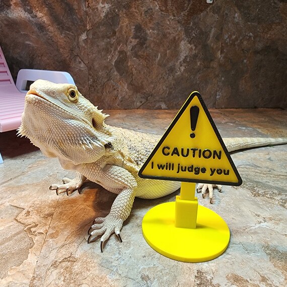 Bearded Dragon Decor