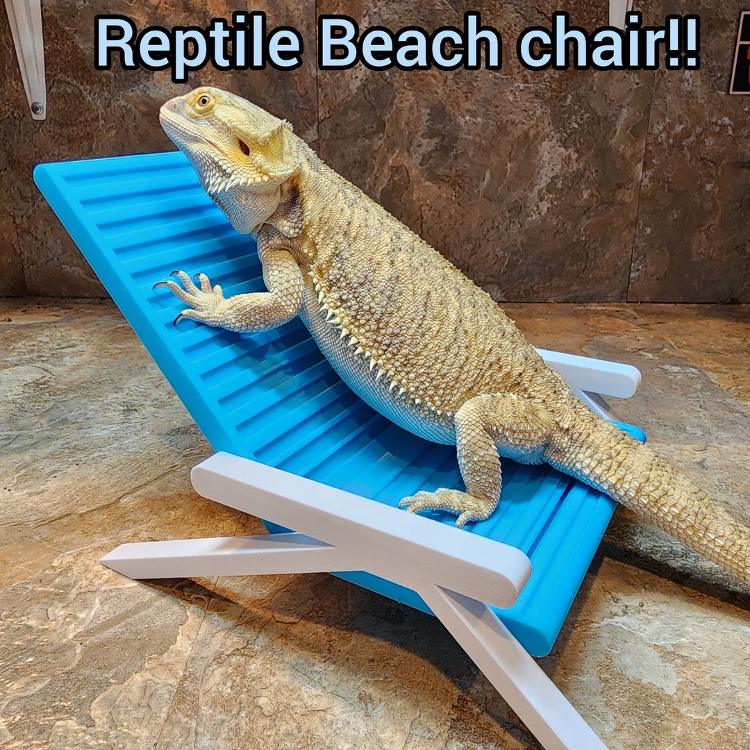 Reptile Beach Lounging Chair Bearded Dragon and Leopard - Etsy