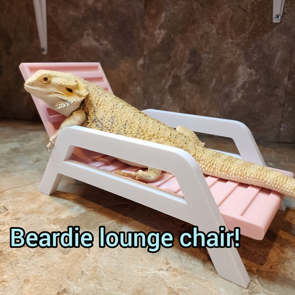 Bearded Dragon Furniture - Shop Online - Etsy