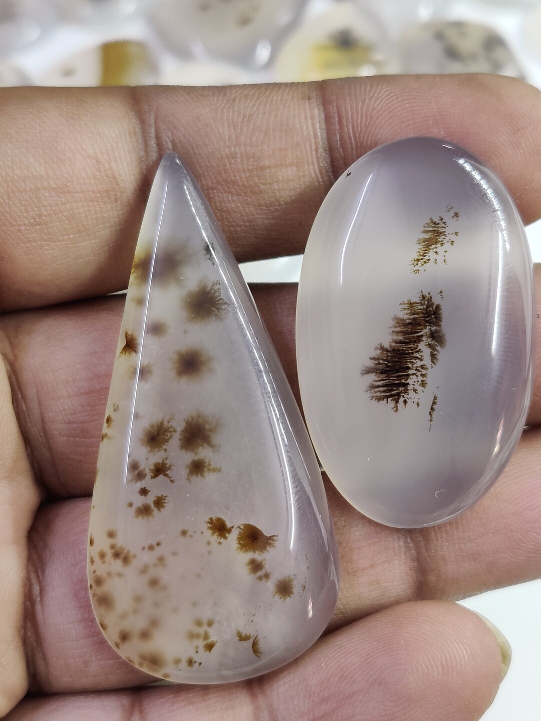 Natural Shazar Scenic Dendrite Agate Gemstone Cabochons Unique Flower ...