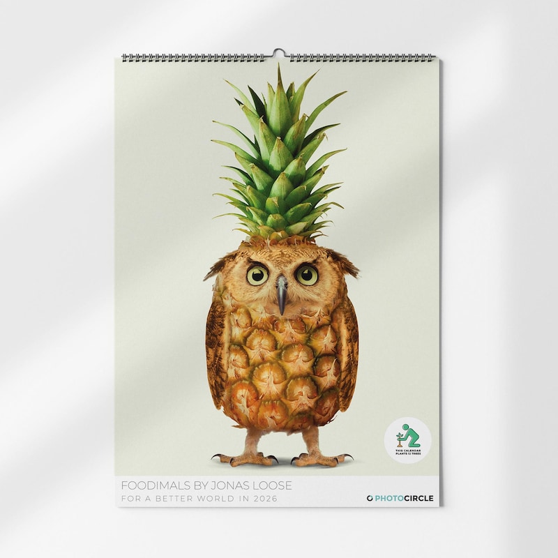 Lustige kalender - Etsy.de